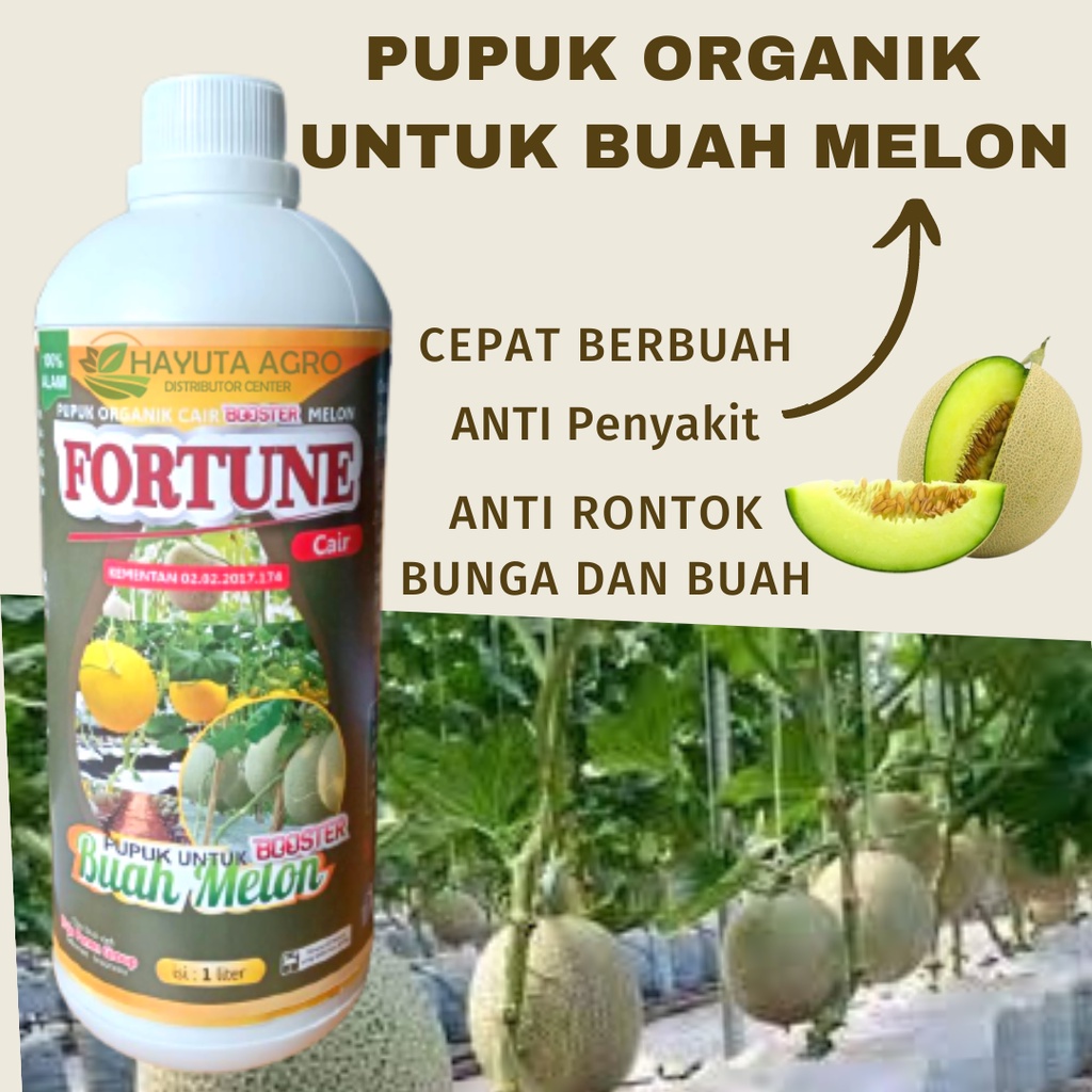 Jual Pupuk melon hidroponik, pupuk pembesaran buah melon, Pupuk FORTUNE CAIR Kemasan 1 LITER ...