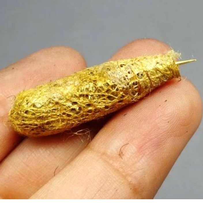 Jual Kepompong Bahan Dari Besi Kuningan Full | Shopee Indonesia