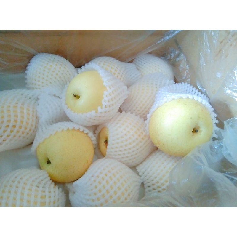 Jual PIR MADU CENTURY IMPOR (500 GR) | Shopee Indonesia