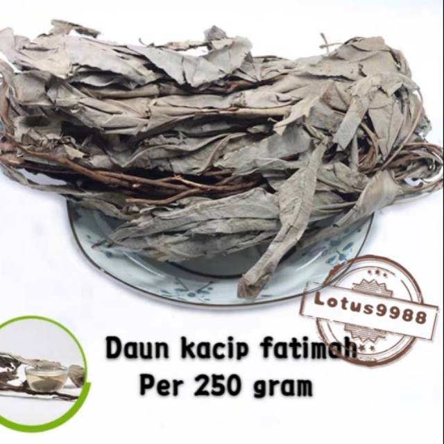 Jual Kacip fatimah 250 gram | Shopee Indonesia