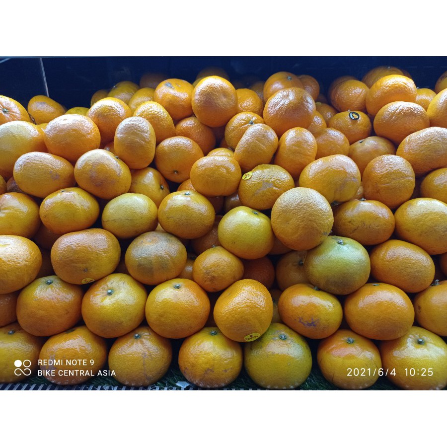 Jual JERUK HONEY MURCOT RRC PER KG | Shopee Indonesia