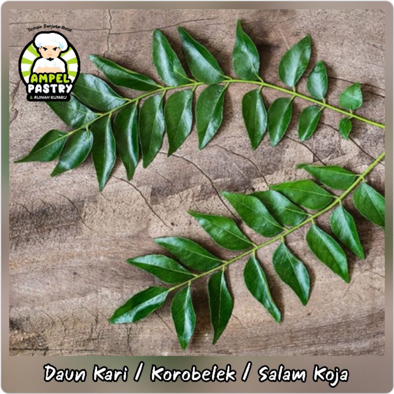 Jual (MINIM BELI 5 TANGKAI) Daun Kari / Salam Koja / Korobelek | Shopee ...