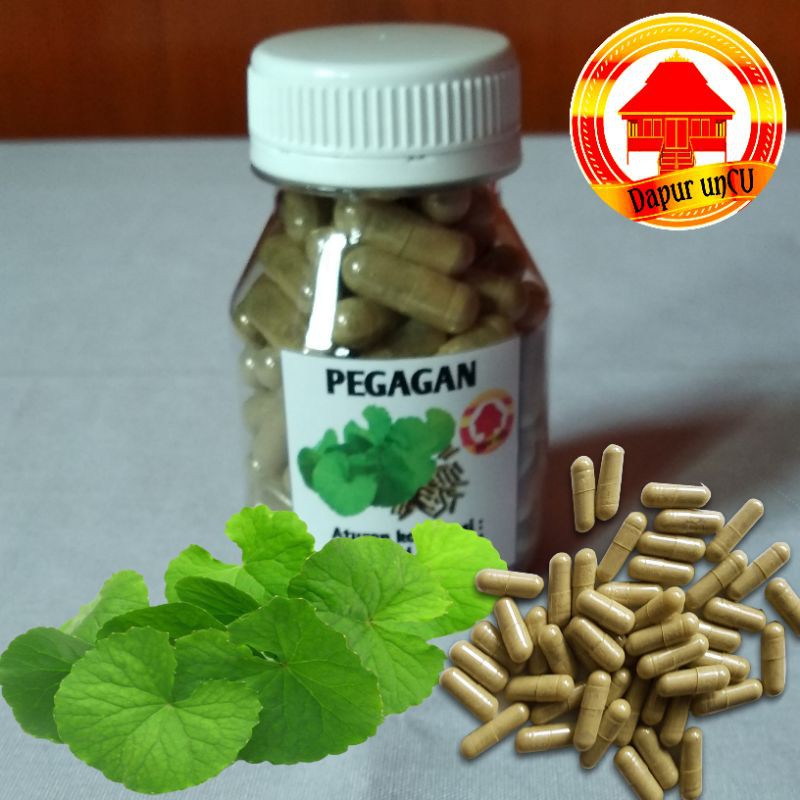 Jual KAPSUL PEGAGAN/Antanan/Centella asiatica. 100% Alami. 100 kapsul ...