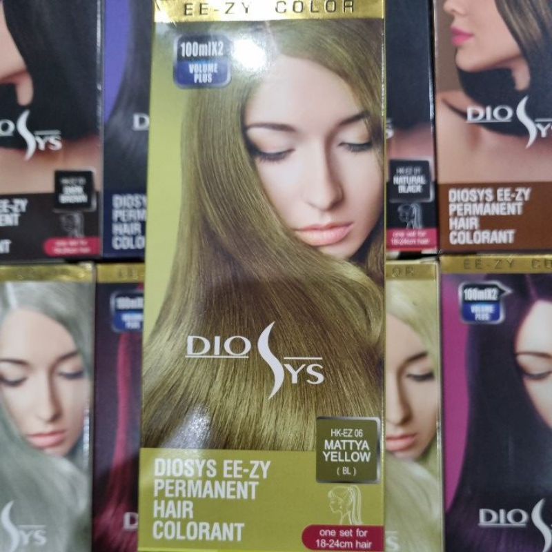Jual Y2000/Diosys Cat Rambut/ Pewarna Rambut Permanen/ Hair Colouring ...