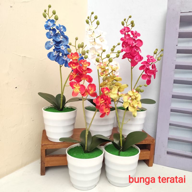 Jual BUNGA ANGGREK L POT PLASTIK RANGKAIAN DEKORASI POT D13 | Shopee ...