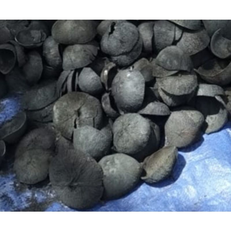 Jual Arang Tempurung Arang Batok Kelapa Murah Mati Huampa | Shopee ...