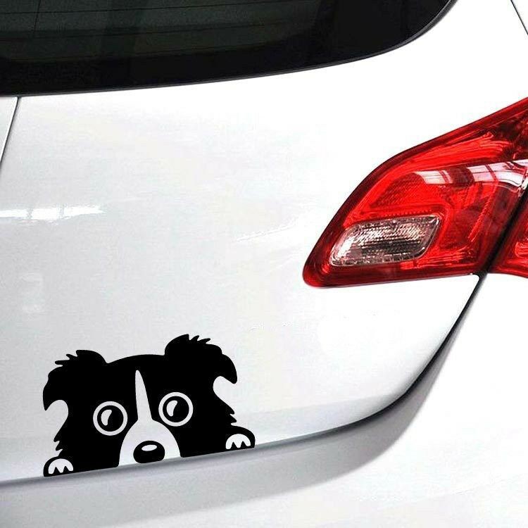 Jual Stiker Mobil Anjing Lucu - Cute Border Collie Dog Car Sticker ...