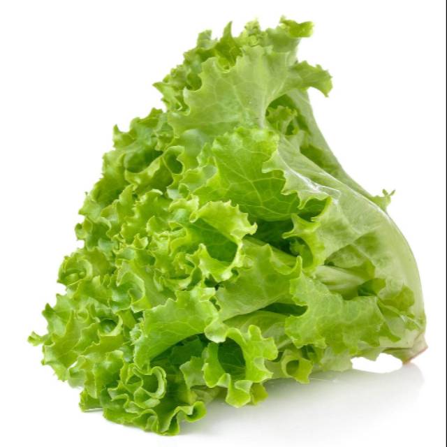 Jual Selada Keriting Hijau Fresh 250 gram | Shopee Indonesia