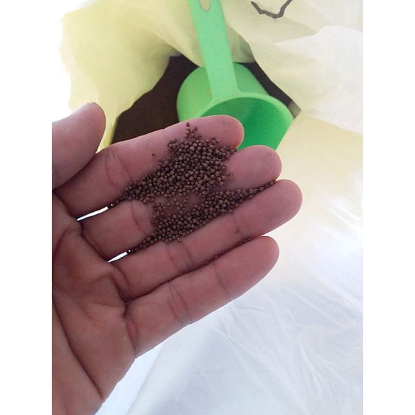 Jual Pelet Pf800/pf 800 kemasan 1kg kiloan pakan ikan 1000gram | Shopee ...