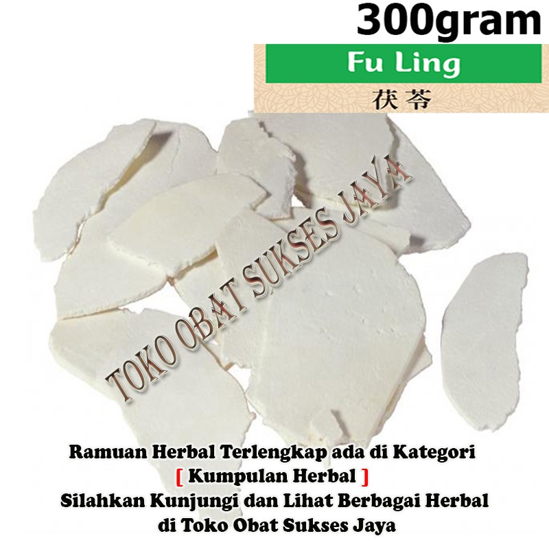 Jual [300gram - Grade A] Fu Ling / Fu Lin / Fuling / Poria - Scierotium ...