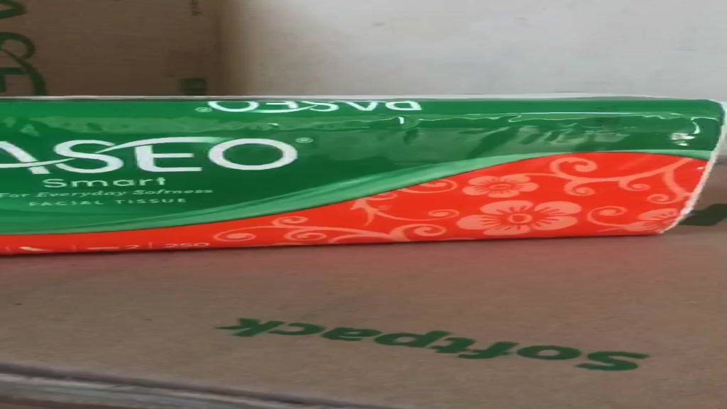 Jual SBM ~ GROSIR TISSUE PASEO 250 / 540 sheet HARGA 1 DUS TISU PASEO ...