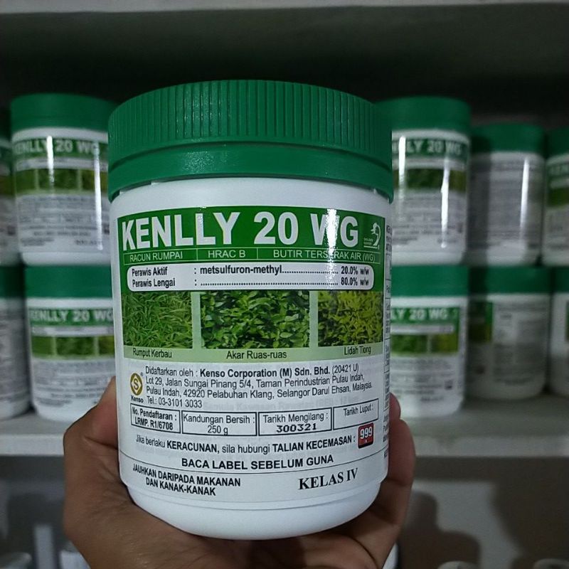 Jual Kenlly 20 WG | Shopee Indonesia