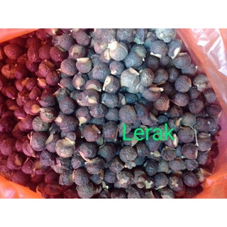 Jual Buah Lerak kering 1 kg (biji) | Shopee Indonesia