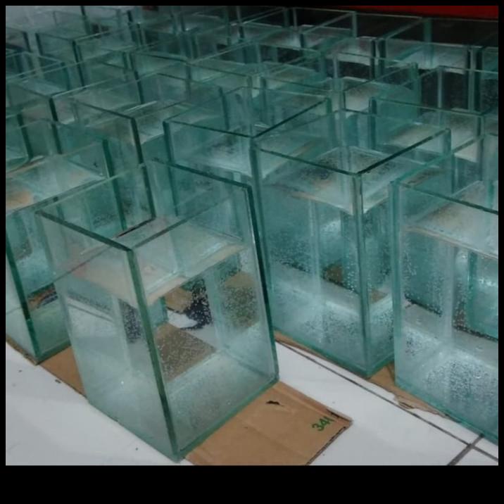 Jual Grab Gojek Aquarium Soliter Ikan Cupang Kaca 10X10X15 Cm Full 5Mm ...