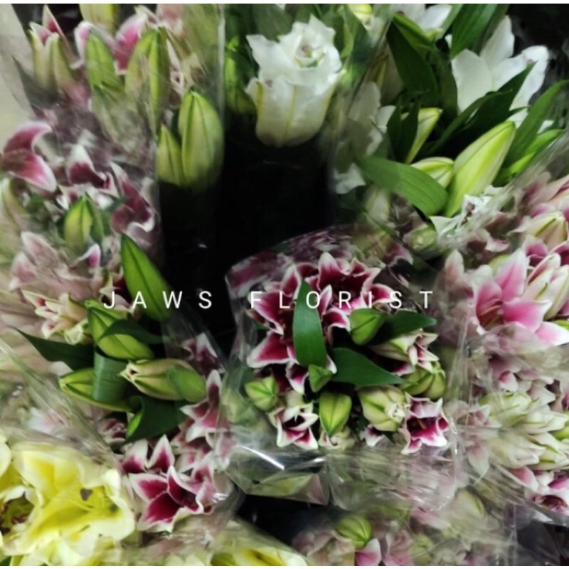 Jual Bunga Casablanca Lily fresh 5 tangkai | Shopee Indonesia