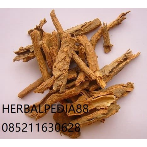 Jual Di Gu Pi E(Wolfberry Root-bark) Cortex Lycii Radicis 600GRAM ...