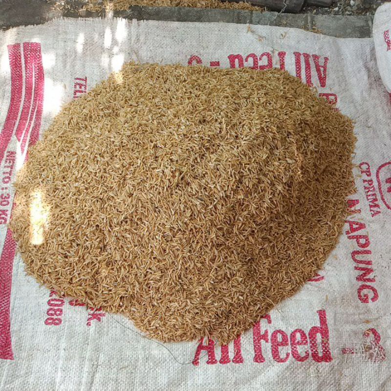 Jual Sekam Padi / Dedak Kasar / Kulit Padi Kering / Mentah Media Tanam ...