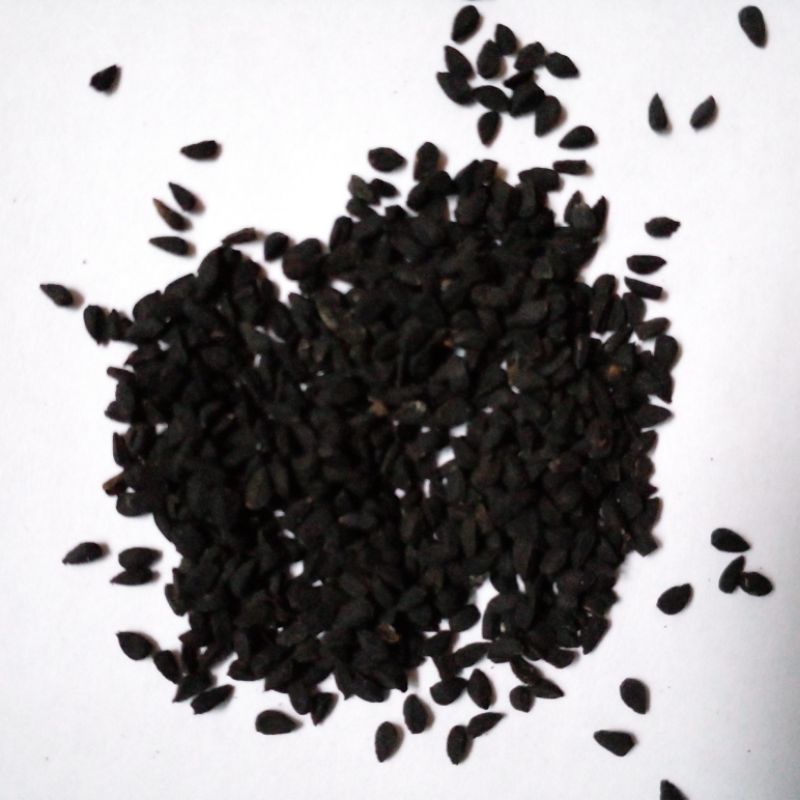 Jual rempah biji jintan hitam / habbatussauda | Shopee Indonesia
