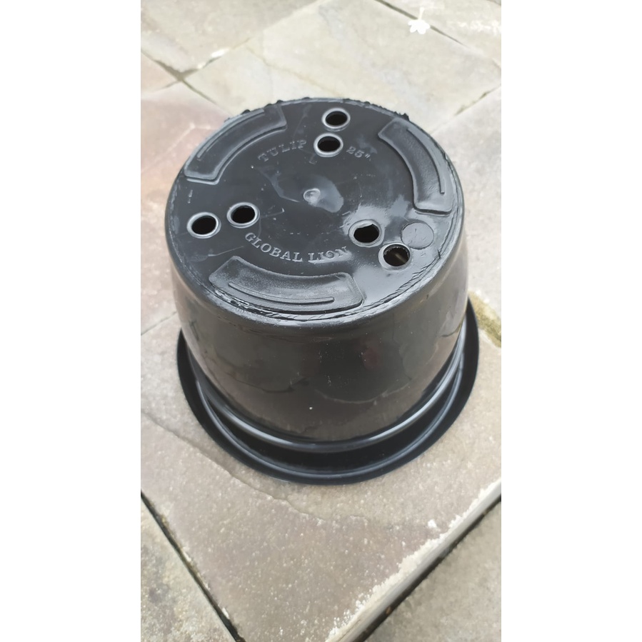Jual pot tulip hitam 25 global lion/pot tulip hitam 30 global lion/pot ...