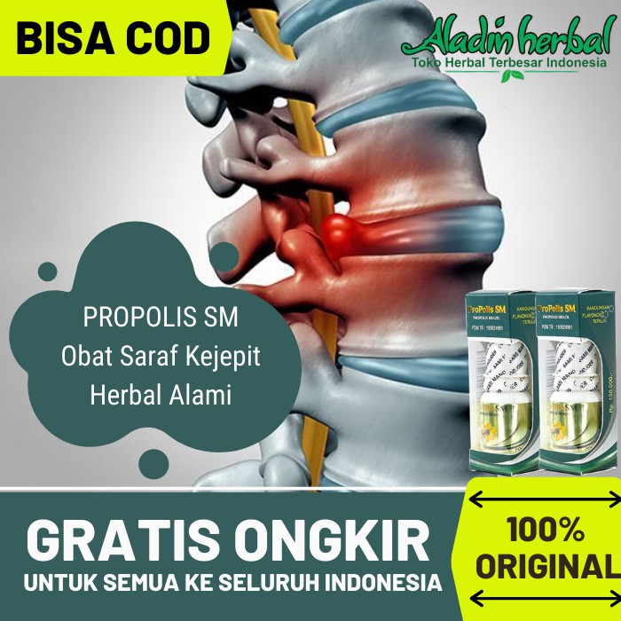Jual Propolis SM Brazilian - Obat saraf kejepit pinggang dan kaki, Urat kecetit, Cincin anulus ...