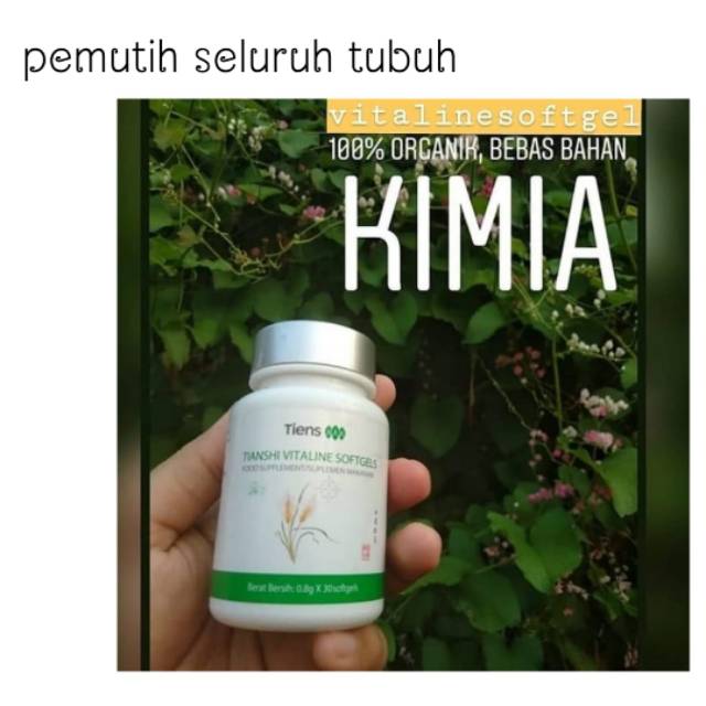 Jual Vitaline softgels ( 30 kapsul ) | Shopee Indonesia