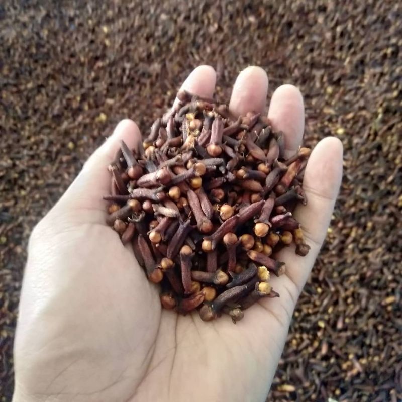 Jual Cengkeh Super / Cloves / Cengkeh Kering Asli / Rempah / isi 100 ...