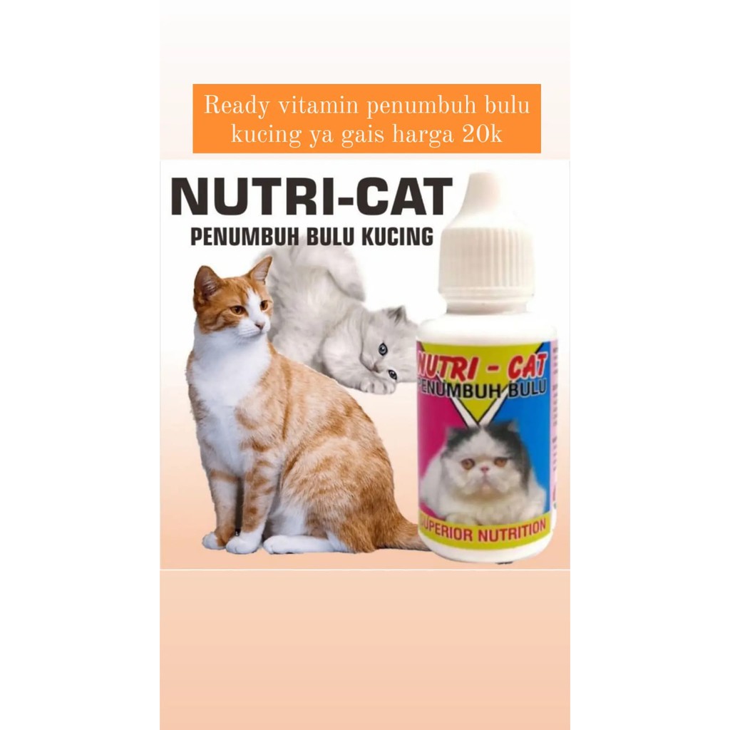 Jual Nutri-Cat, Vitamin Penumbuh bulu kucing dan anjing | Shopee Indonesia