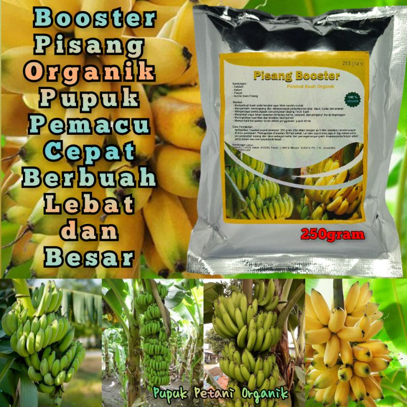 Jual Pupuk Pisang Cepat Berbuah Pupuk Booster Pisang Organik Pupuk Pelebat Pisang | Shopee Indonesia