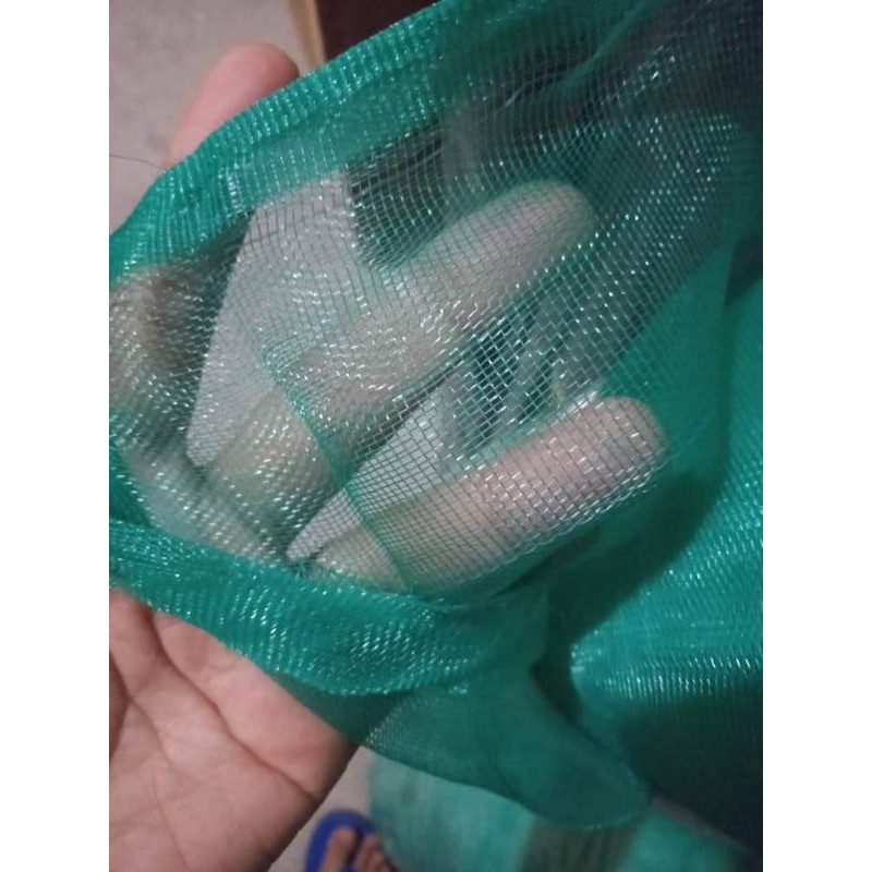 Jual jaring kasa hijau 1mx5m | Shopee Indonesia