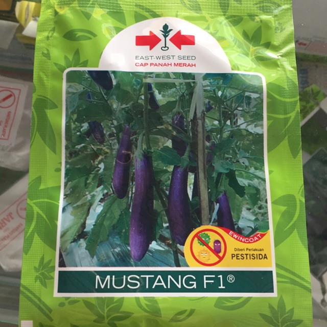 Jual Benih Terong Ungu Cap Panah Merah Mustang | Shopee Indonesia