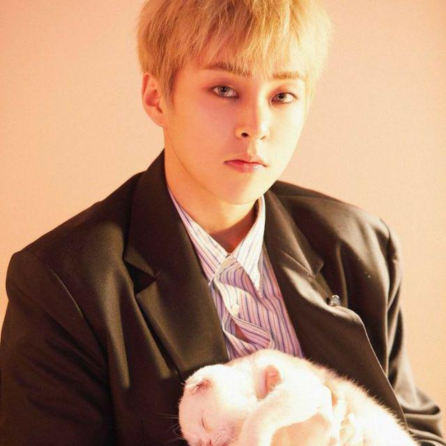 Jual XIUMIN EXO CBX poster ukuran A4/A3+ bahan Art Karton Cartoon ...