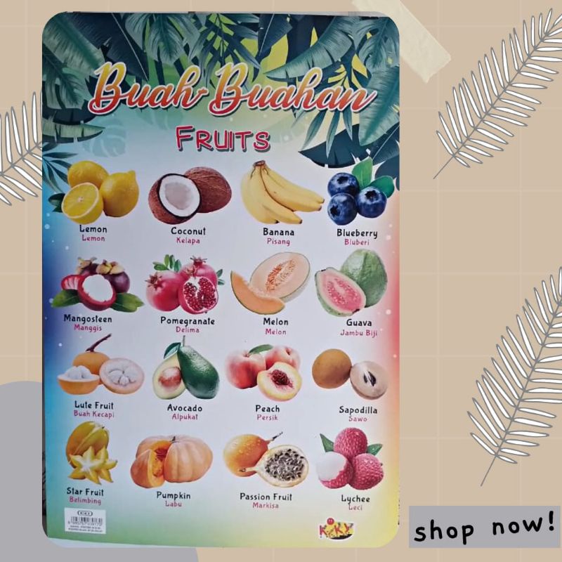 Jual Mengenal Buah-buahan Fruits | Poster Anak | Shopee Indonesia