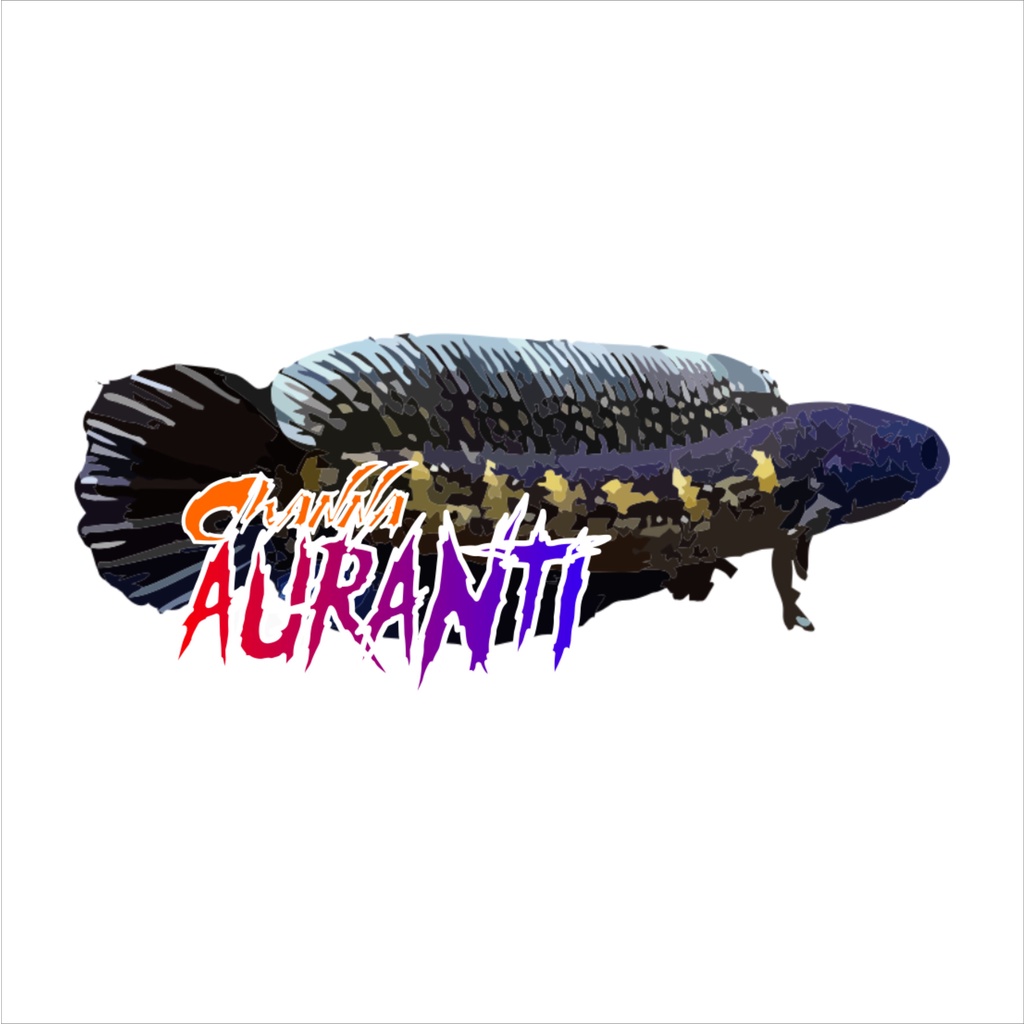 Jual STICKER CHANNA/STICKER IKAN/CHANNA/CUPANG/UKURAN9X5CM/HARGA ...