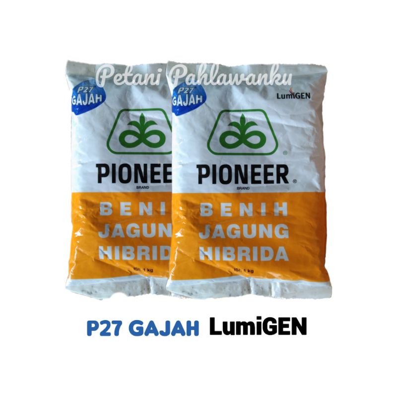 Jual Benih Jagung P27 GAJAH LUMIGEN 1 kg | Shopee Indonesia