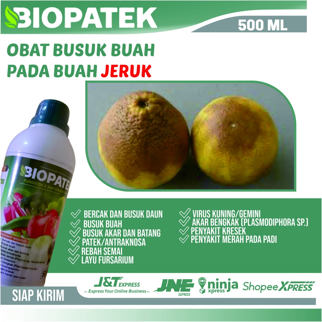 Jual Obat Anti Patek Biopatek Bakterisida And Fungisida Hayati Mengatasi