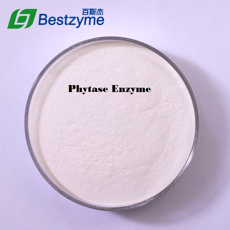 Jual Phytase Enzyme Powder 20 gram | Shopee Indonesia