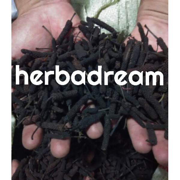 Jual 100 GRAM CABE JAWA JAMU PIPER RETROFRACTUM CABAI CABEAN ALAS LONG ...