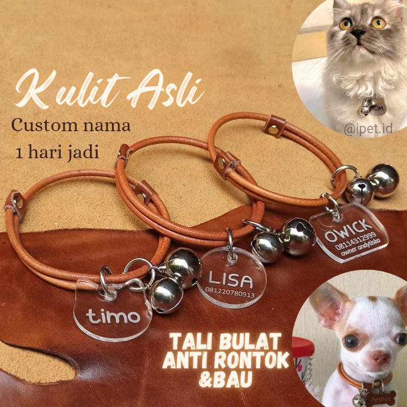 Jual KALUNG KUCING DAN ANJING KECIL LONCENG TAG NAMA CUSTOM AKRILIK ...