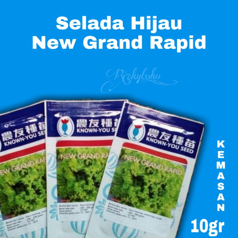 Jual Benih selada new grand rapid kemasan partai | Shopee Indonesia