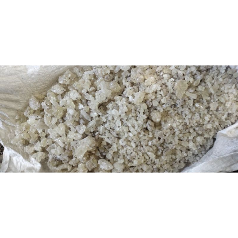Jual 100gr Getah Damar Mata Kucing Lampung Grade ABCDE | Shopee Indonesia