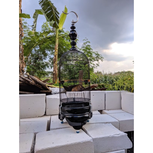 Jual Sangkar Burung Pleci Holopet D23cm Full Set Tinggal Pakai | Shopee ...