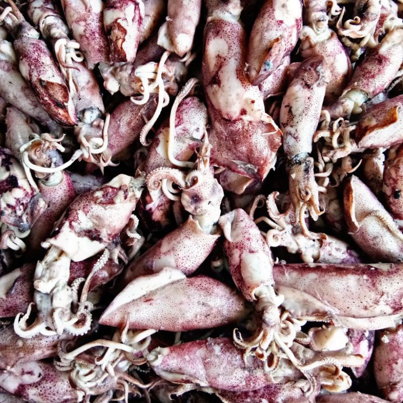 Jual CUMI ASIN TELOR 50% MASIH BASAH 1/2KG | Shopee Indonesia