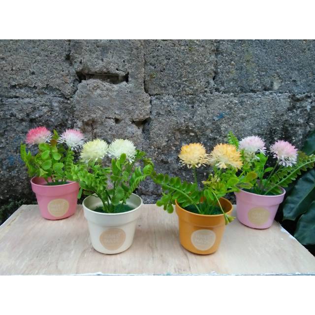 Jual Tanaman pakis bulat bunga plastk | Shopee Indonesia