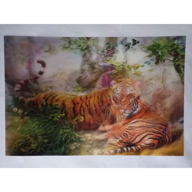 Jual POSTER HARIMAU 3 DIMENSI UKURAN 58X38 CM (terlihat hidup & nyata ...