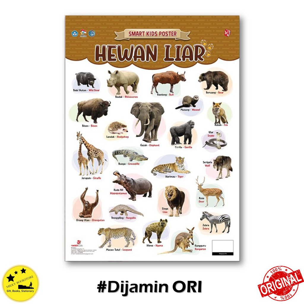 Jual Smart Kids Poster Hewan Liar Full Color | Shopee Indonesia