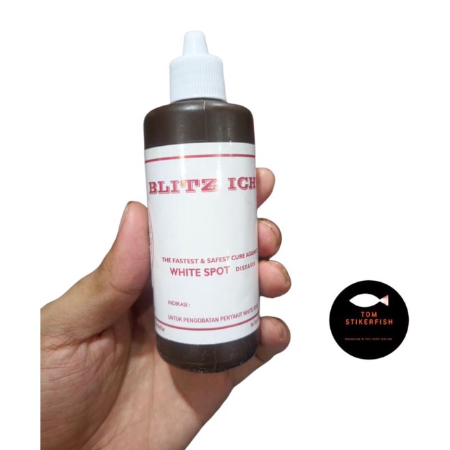 Jual BLITZ ICHT 100CLcc | Shopee Indonesia