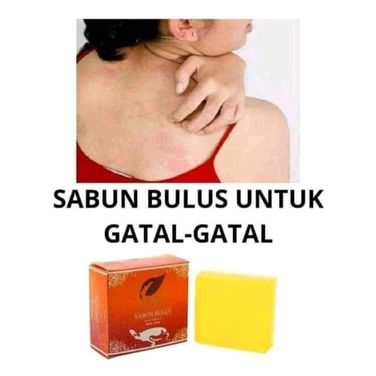 Jual Sabun Bulus Untuk Keluhan Gatal Gatal dan Menghilangkan Bekas Luka ...