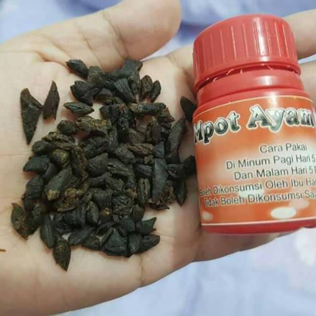 Jual Mpot Momo berhologram isi 70 Sudah dinkes | Shopee Indonesia