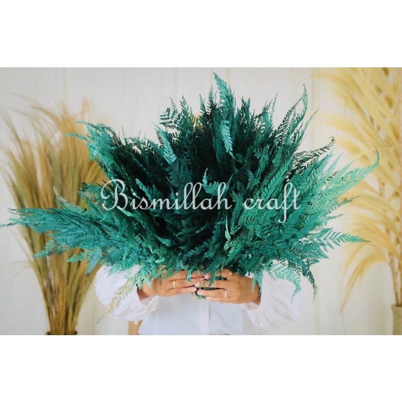 Jual TERMURAH !!! DAUN PAKIS HARGA PERTANGKAI DAUN PAKIS HIASAN BUKET ...