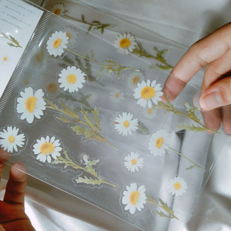 Jual transparan sticker | Shopee Indonesia